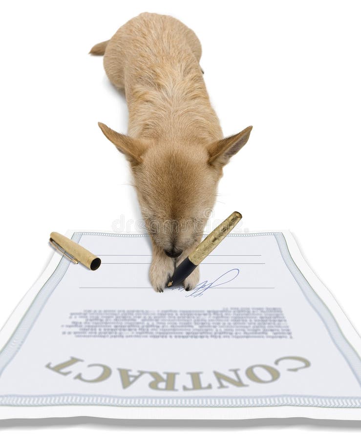 Dog Signing Photos - Free & Royalty-Free Stock Photos from Dreamstime