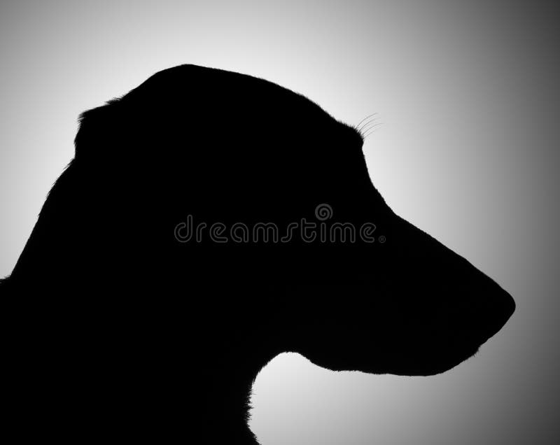 Dog silhouette stock photo. Image of silhouette, domestic - 32496314