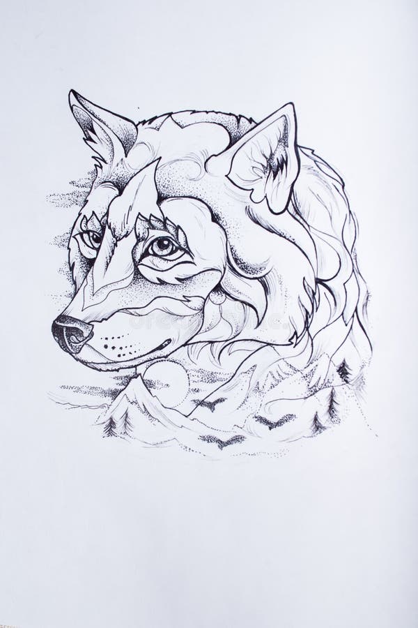 Dog Sketch in Graph on a White Background. Stock Illustration ...