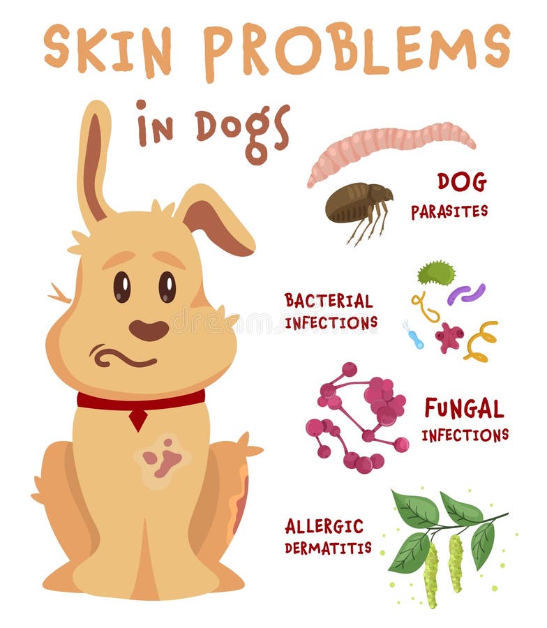 Dog Fur Disease Stock Illustrations – 163 Dog Fur Disease Stock ...