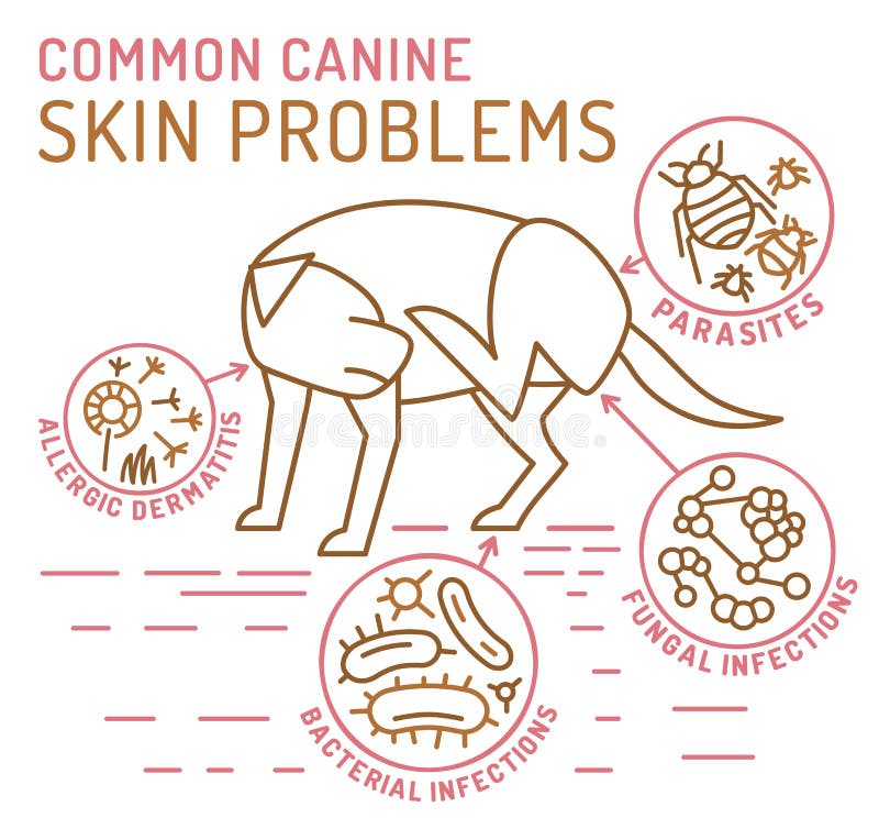 Dog Fur Disease Stock Illustrations – 163 Dog Fur Disease Stock ...