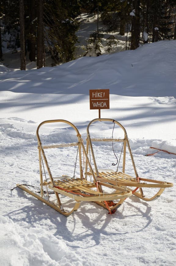 Dog sleds on snow stock image. Image of sport, closeup - 29157925