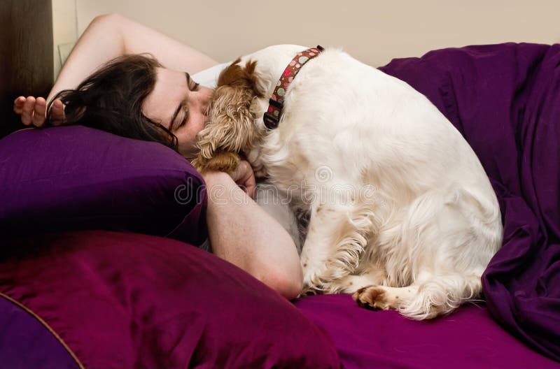 Sleeping dog and owner stock photo. Image of caucasian - 40365532