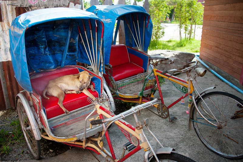 Dog Sleeping on the Red Seat Stock Photo - Image of pillow, relax ...