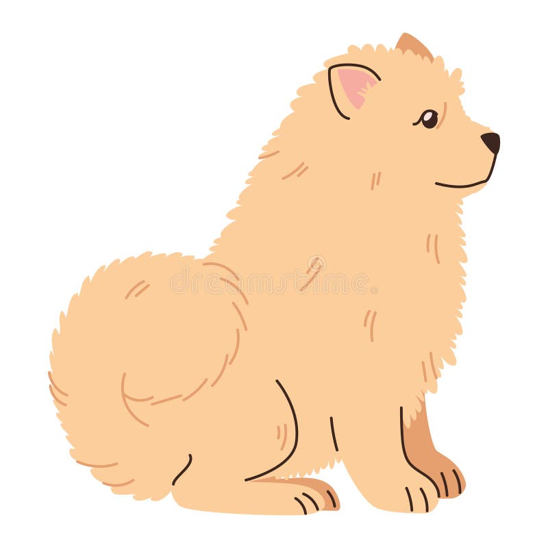 Dog small fluffy stock vector. Illustration of vector - 297482685