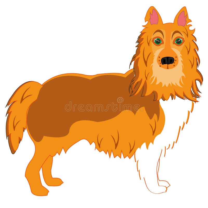 Sort Collie Stock Illustrations – 12 Sort Collie Stock Illustrations ...