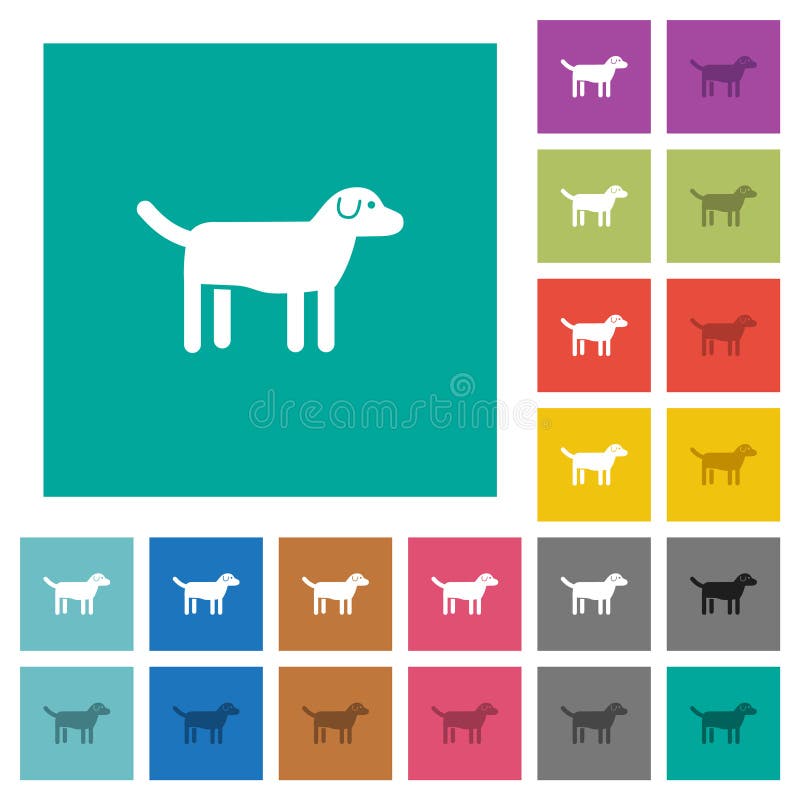 Dog Square Flat Multi Colored Icons Stock Vector - Illustration of ...