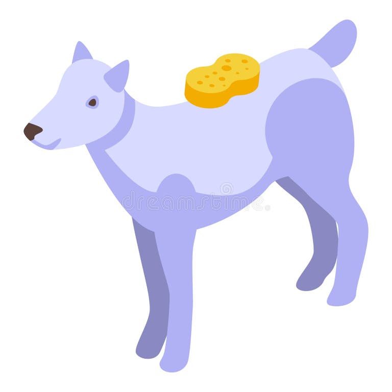 Dog Standing with Sponge on Back Isometric View Stock Vector ...