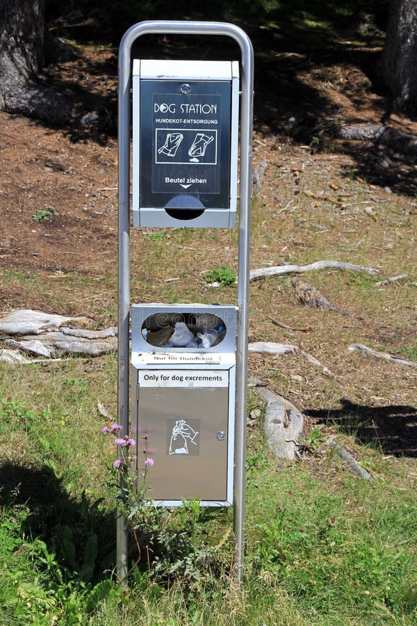 Dog Station stock image. Image of danger, dispose, acreage - 43692539