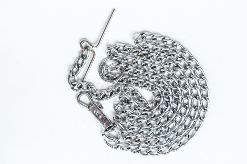 Dog steel chain stock image. Image of chain, ring, canine - 79144983