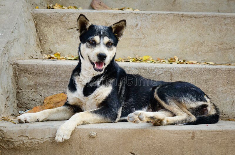 Hsinbyume Pagoda Mingun In Mandalay, Myanmar Stock Image - Image of ...