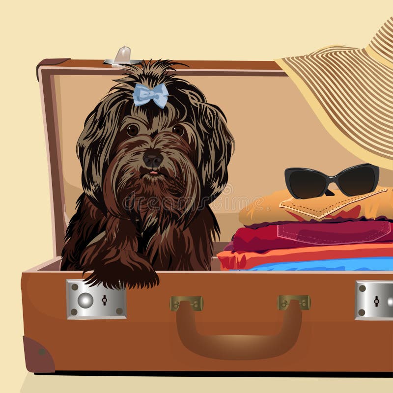 A Dog in a Suitcase. Vector Illustration. Stock Vector - Illustration ...
