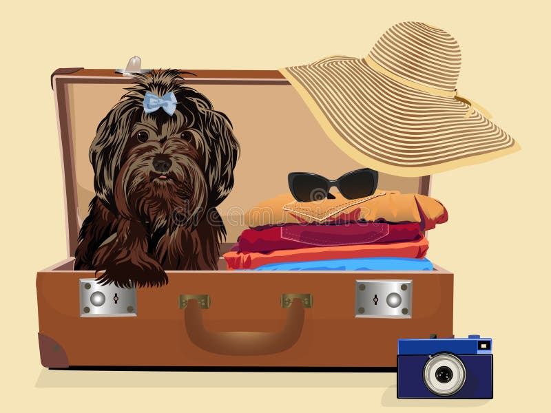 A Dog in a Suitcase. Vector Illustration. Stock Vector - Illustration ...