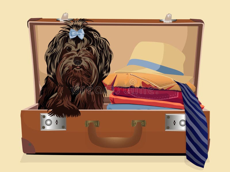 A Dog in a Suitcase. Vector Illustration. Stock Vector - Illustration ...