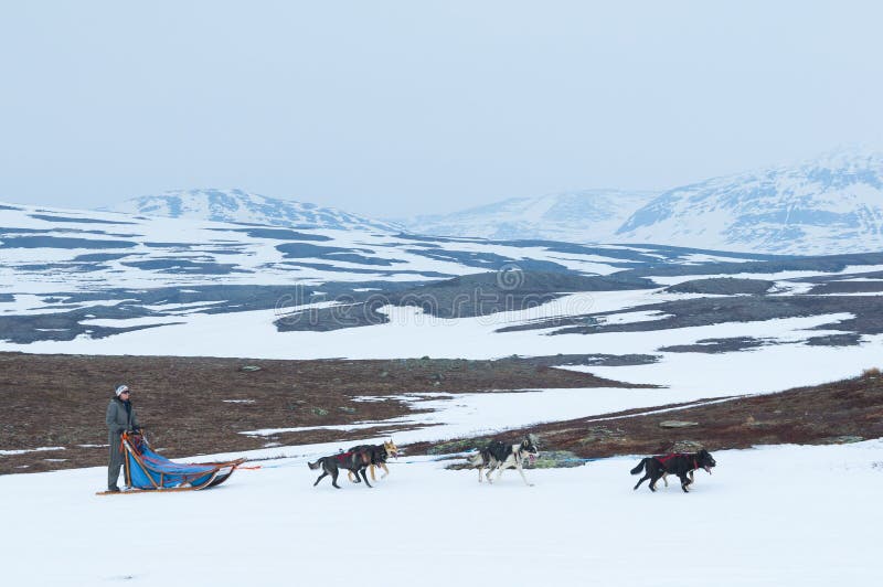 Horse Ani Ruins Winter (4 Season) Stock Image - Image of moslem ...