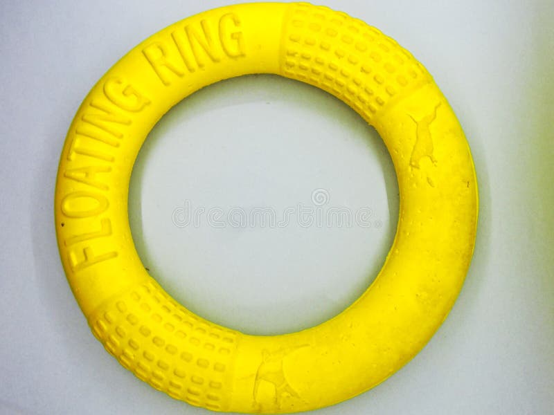 Dog Throwing Object Stock Photos - Free & Royalty-Free Stock Photos ...