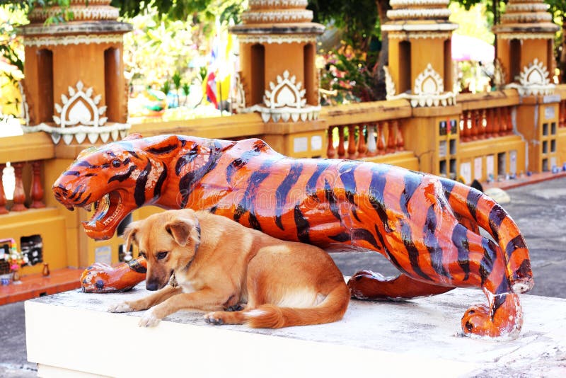 Dog and tiger statue stock image. Image of friendly, aggression - 35982641
