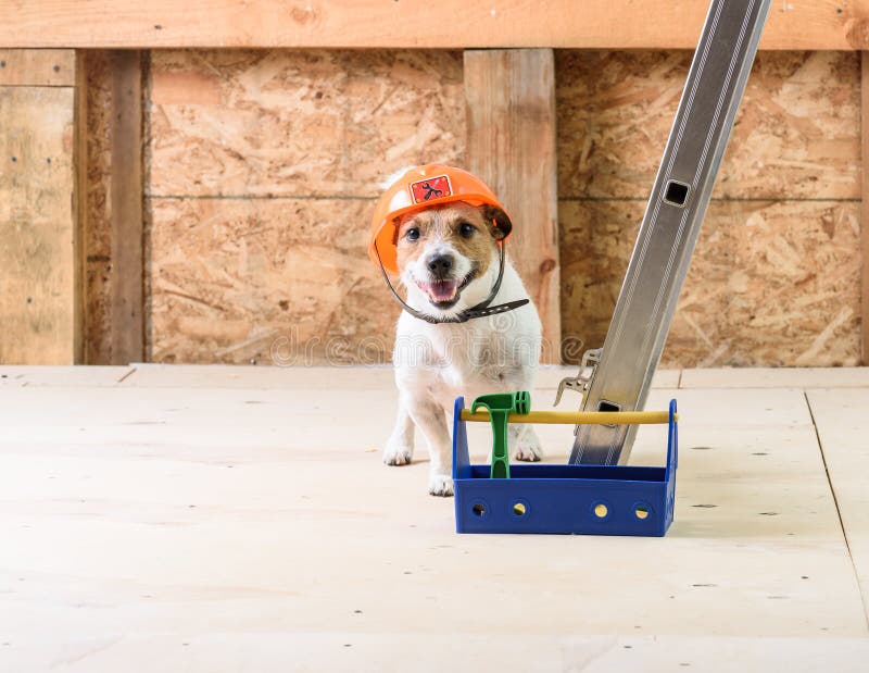 Under construction dog stock image. Image of caution - 32079713