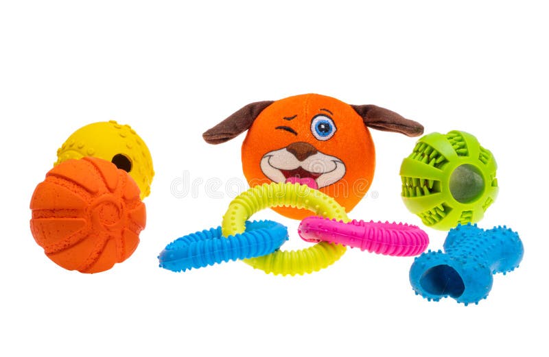 Dog toys isolated stock photo. Image of close, horizontal - 245333604