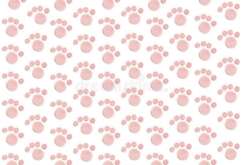 Dog Tracks on White Background Stock Photo - Image of green, cold ...