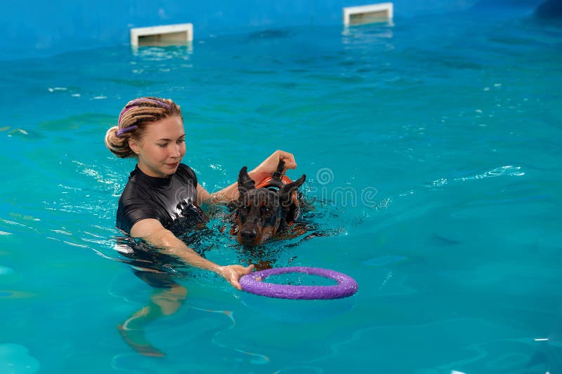 Dog Trainer at the Swimming Pool, Teaching the Dog To Swim. Stock Photo ...