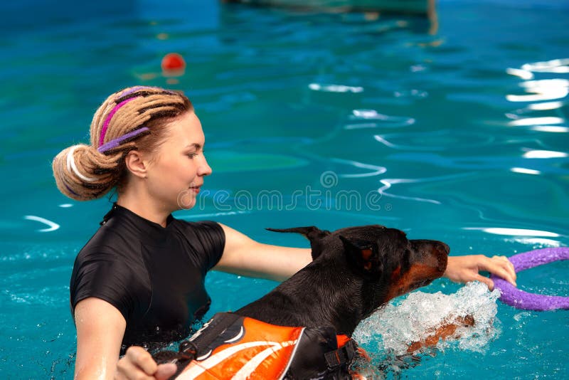 Dog Trainer at the Swimming Pool, Teaching the Dog To Swim. Stock Image ...