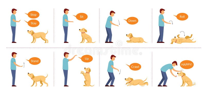 Dog Training with Hand Signals Stock Vector - Illustration of school ...