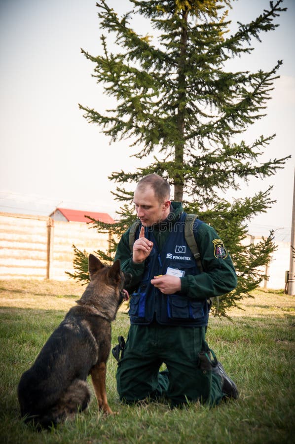 Dog training editorial stock photo. Image of teaching - 47695238