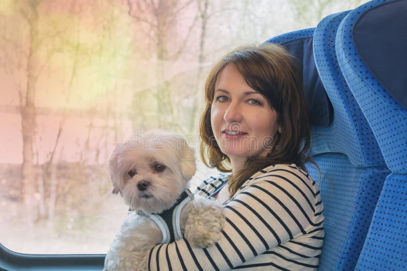Dog Traveling by Train with His Owner Stock Image - Image of railroad ...