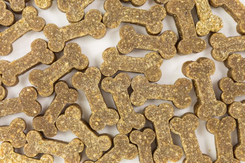 Dog Treats in the Shape of Bones Stock Image - Image of crunchy, bones ...