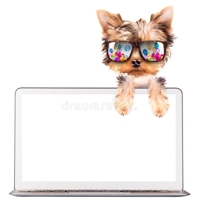 Kitty Cat Keyboard of Laptop Computer Stock Vector - Illustration of ...