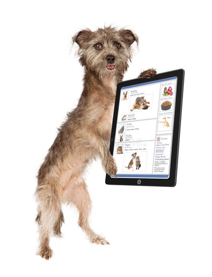 Dog Using Social Media stock image. Image of media, friends - 51123309