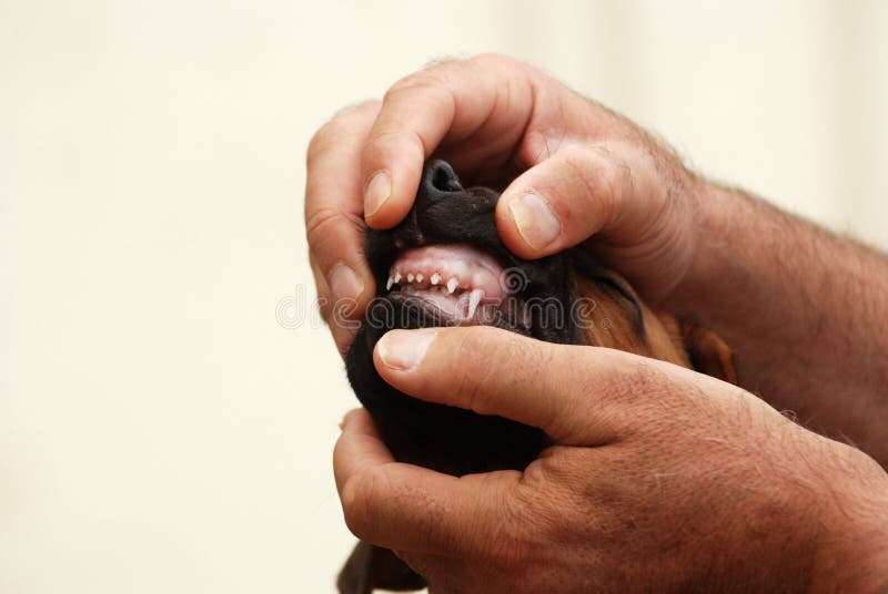 Incorrect Positioning Stock Photos - Free & Royalty-Free Stock Photos ...