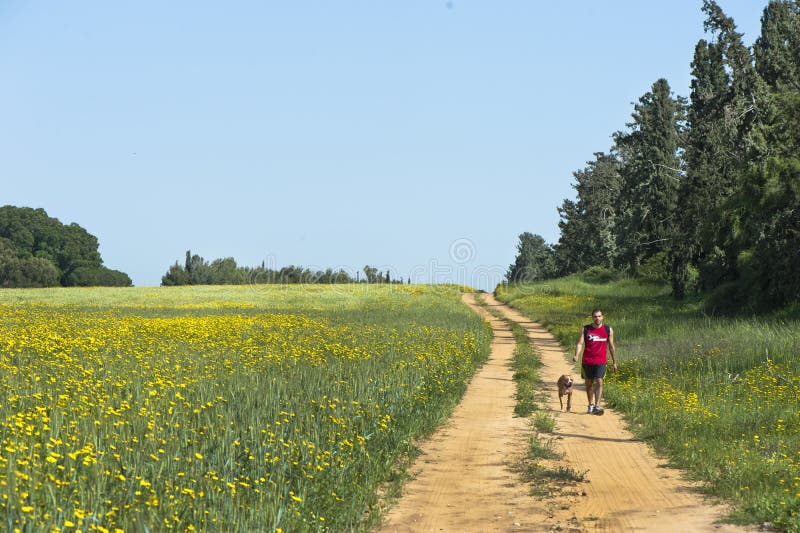 Dog-walk in the Countryside Editorial Photo - Image of blossom, bloom ...