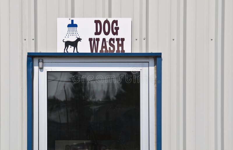 5,042 Dog Wash Photos - Free & Royalty-Free Stock Photos from Dreamstime