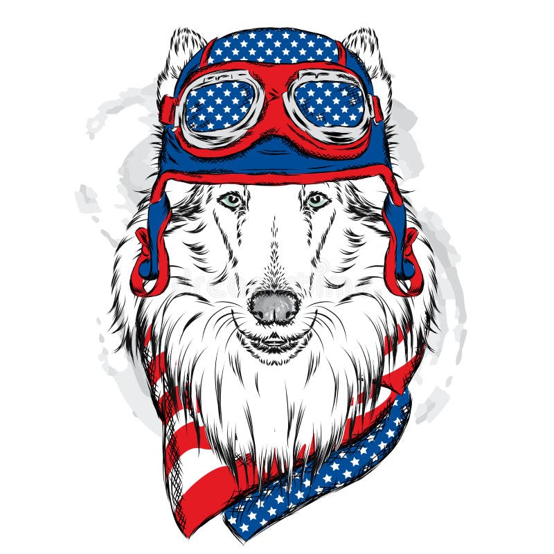 Dog Wearing a Helmet and Scarf. Collie-pilot Stock Vector ...