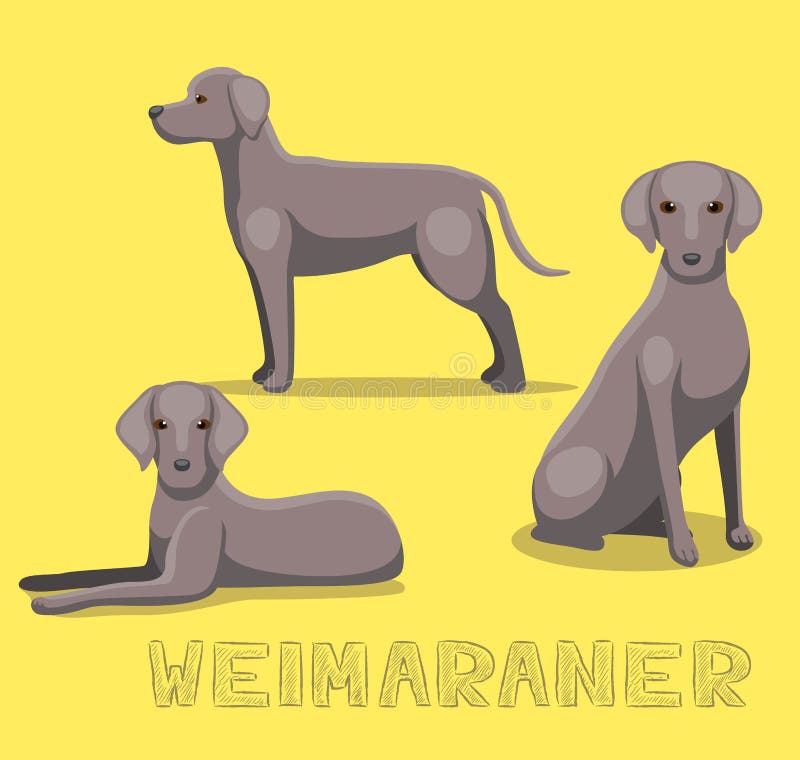 Weimaraner dog stock vector. Illustration of silhouette - 25928319