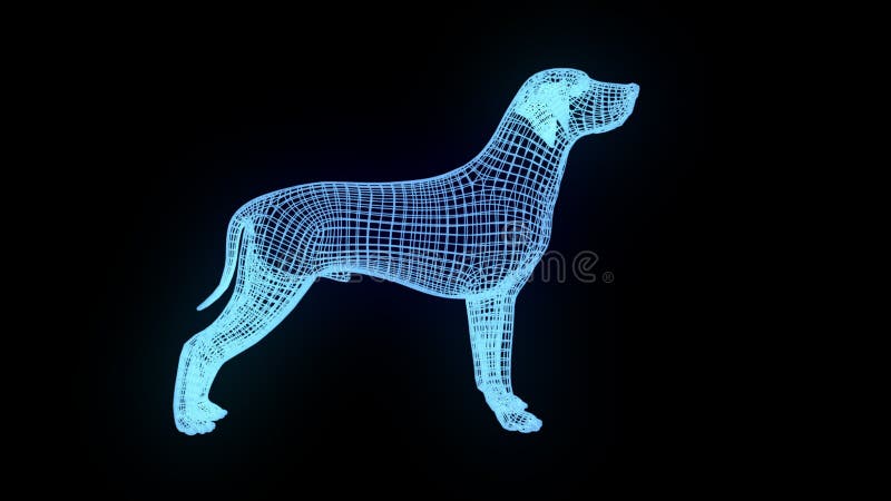 Dog wireframe stock video. Video of render, sketch, shot - 263256025