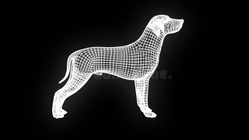 Dog wireframe stock video. Video of effect, shepherd - 263255855