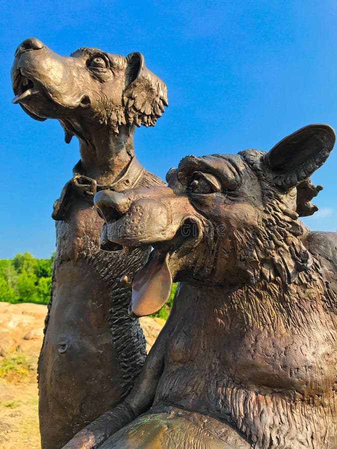 Dog and Wolf in Buky Ukraine Stock Photo - Image of monument, cityscape ...