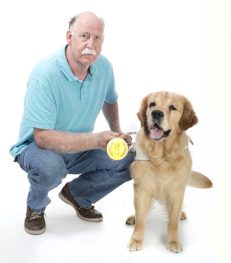 Dog won a golden medal stock photo. Image of adorable - 32314140