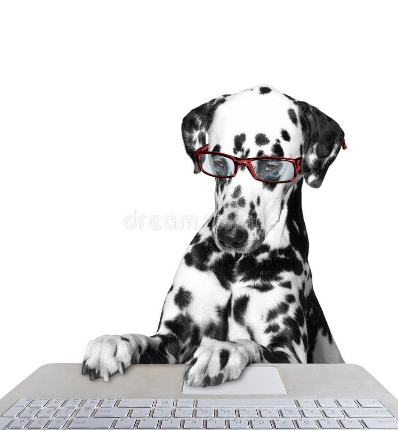 6,026 Dog Working Computer Stock Photos - Free & Royalty-Free Stock ...