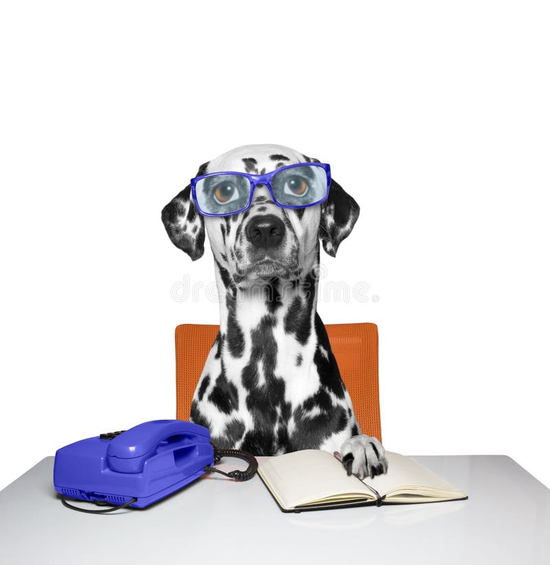 Dog Manager stock photo. Image of computer, humor, small - 26314240