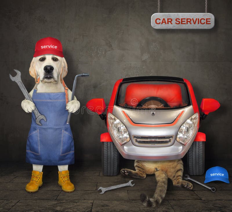 Dog with Cat Fixing Car in Garage Stock Image - Image of motor, garage ...