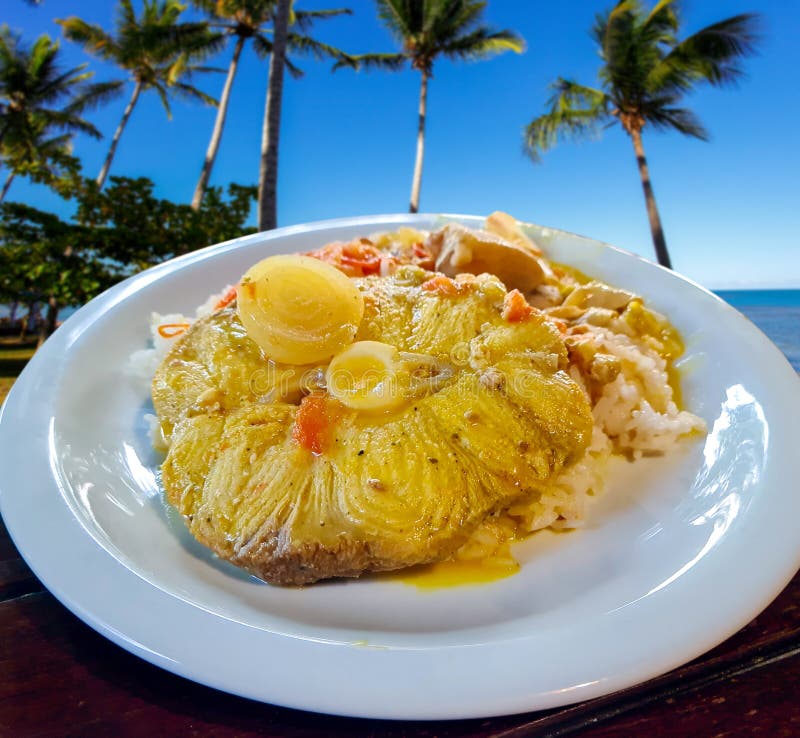 Dogfish Moqueca, Traditional Dish of Brazil Stock Photo - Image of ...