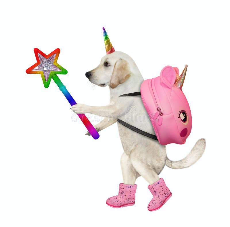 Dogicorn Labrador Walks with Magic Wand Stock Illustration ...