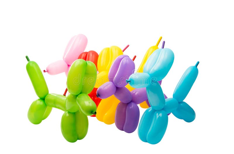 Dogs of balloons stock photo. Image of flexibility, isolated - 76881338