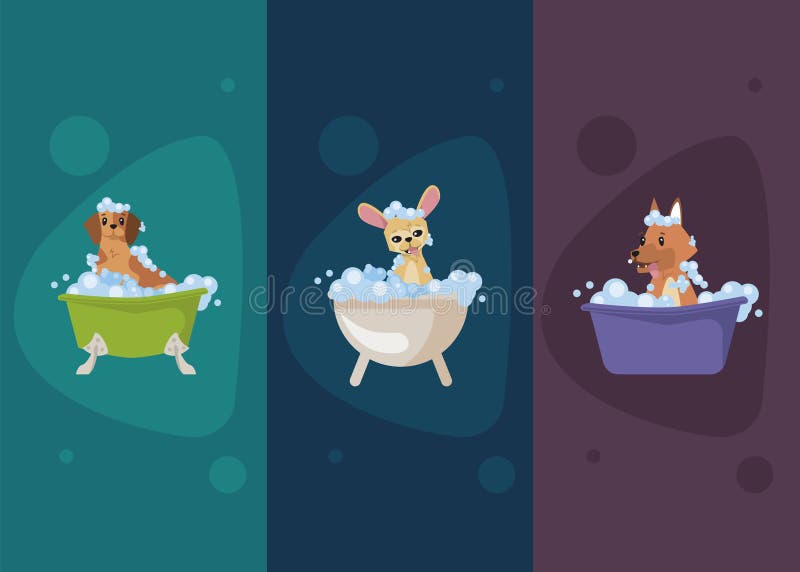 Dogs Bathing Stock Illustrations – 290 Dogs Bathing Stock Illustrations ...