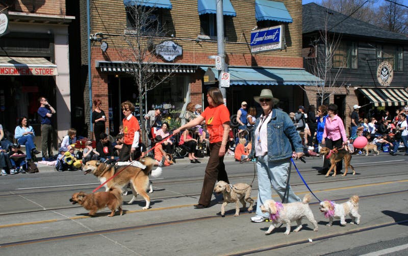 Dogs Club editorial image. Image of decoration, club - 13741170