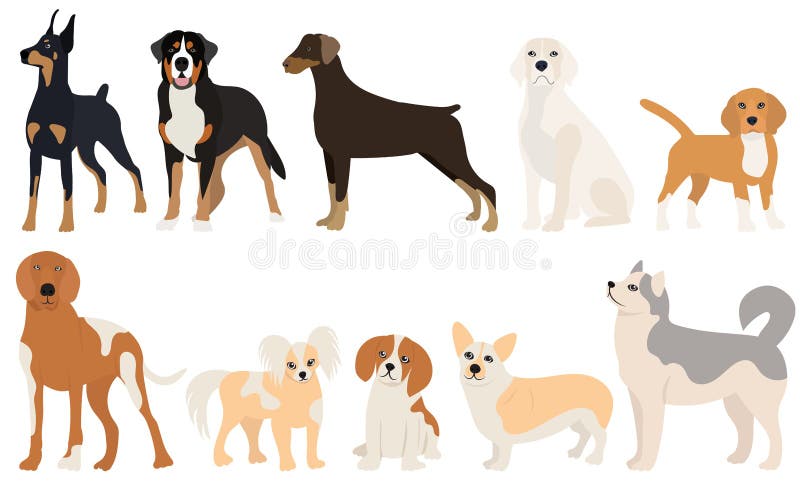 Dogs of Different Breeds Set in Flat Design Isolated Stock Vector ...